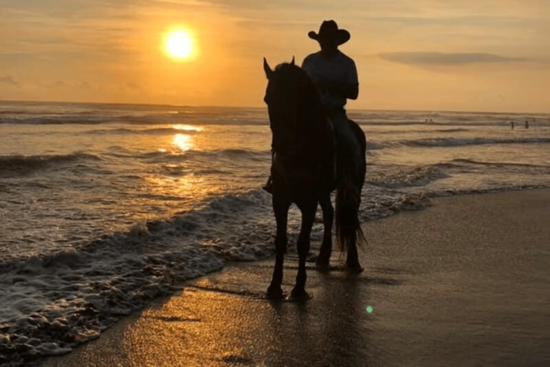 Acapulco: Bonfil Beach Horseback Riding Experience - Final Thoughts: Is It Worth It?