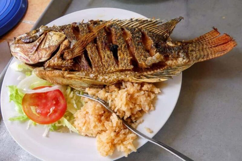 -Acapulco: Coyuca Lagoon Boat Ride &Baby Turtle Release Tour - The Bottom Line: Is It Worth It?