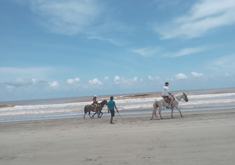 Acapulco: Horseback Riding, Turtle Camp, and Crocodile Tour - A Close Look at the Tour Experience