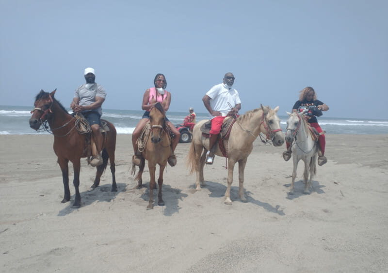 Acapulco: Horseback Riding, Turtle Camp, and Crocodile Tour - Who Should Consider This Tour?