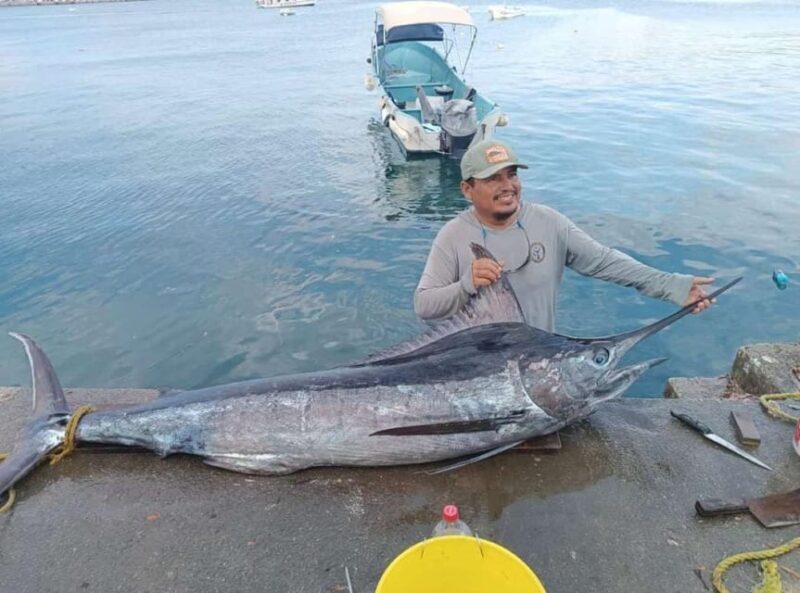 Acapulco: Private Fishing Experience - The Experience Provider and Ratings