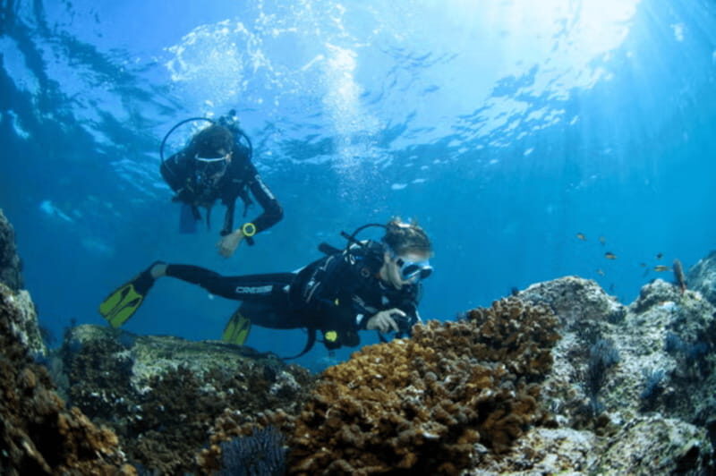 Acapulco: Scuba Diving in Roqueta Island - An Introduction to the Experience