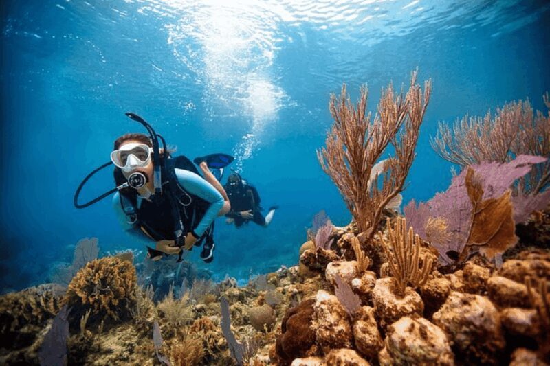 Acapulco: Scuba Diving in Roqueta Island - Why This Tour Stands Out