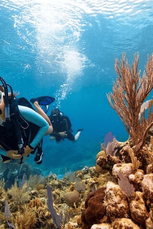 Acapulco: Scuba Diving in Roqueta Island - Final Thoughts