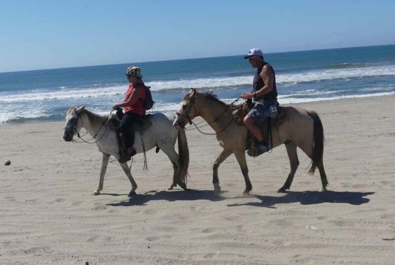 -Acapulco:Turtle Release Crocodile Farm & Horseback Ride Exp - A Closer Look at the Tour Itinerary