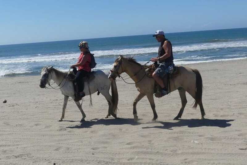 -Acapulco:Turtle Release Crocodile Farm & Horseback Ride Exp - FAQ