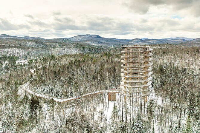 Access to Mont-Tremblant Treetop Observatory and Walk - Introduction
