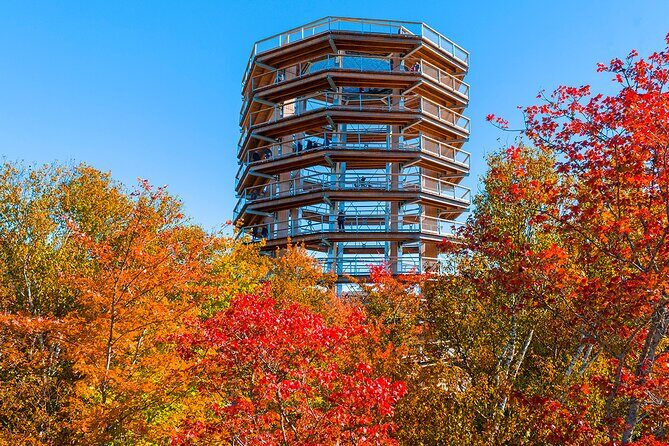 Access to Mont-Tremblant Treetop Observatory and Walk - What Visitors Say