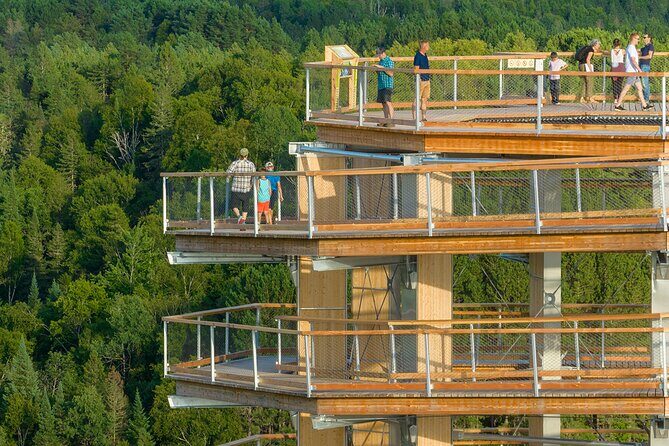 Access to Mont-Tremblant Treetop Observatory and Walk - The Sum Up