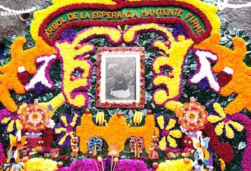 Access to the Frida Kahlo Museum or Casa Kahlo Museum with a Digital Guide - Key Points