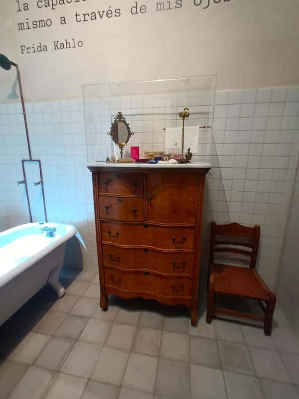 Access to the Frida Kahlo Museum or Casa Kahlo Museum with a Digital Guide - Practicalities and Logistics