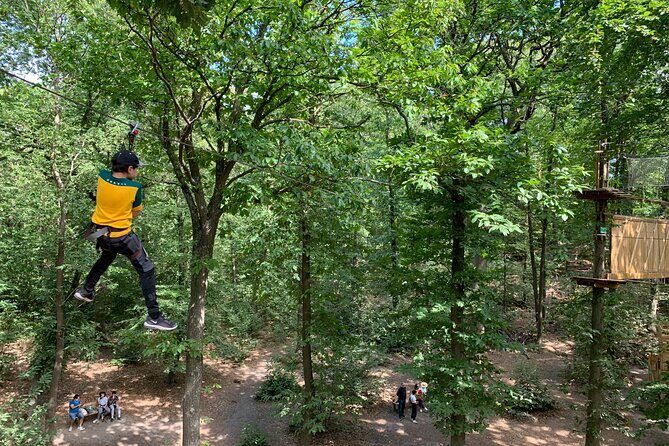 Accrobranches course in the middle of the forest in Saint-Germain-en-Laye - An In-Depth Look at the Saint-Germain-en-Laye Accrobranches Experience