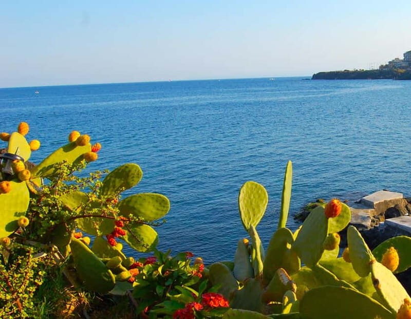 Aci Trezza and Aci Castello: Guided Tour with Granita - Aci Castello’s Norman Castle