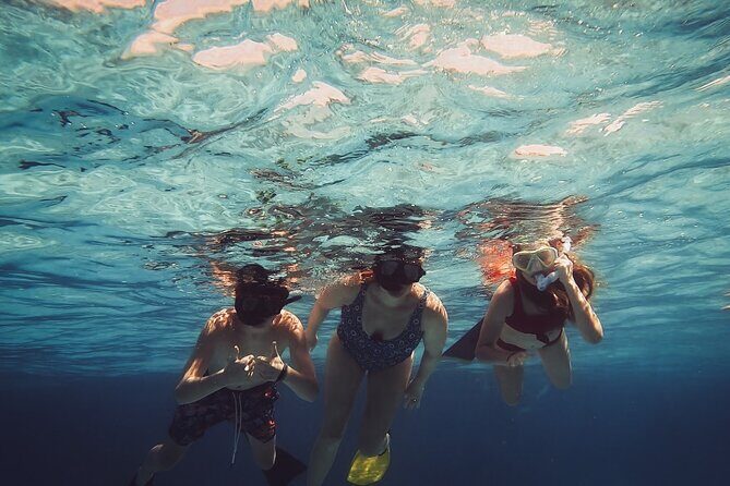 Acquarius Stingray City and Snorkel Tours - A Deep Dive into the Experience