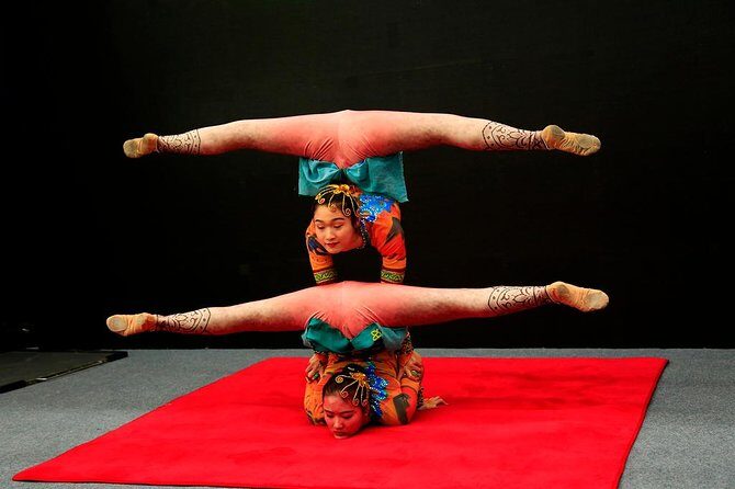 Acrobatics Show plus Ding Tai Fung Dinner Experience in Beijing - Who This Tour is Perfect For