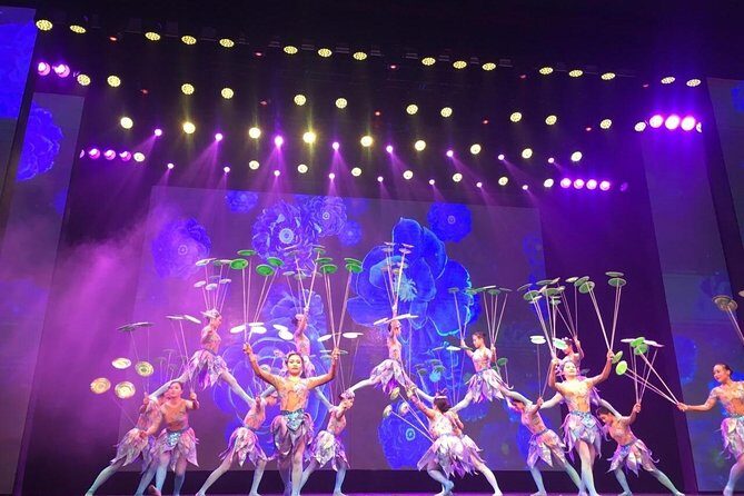 Acrobatics Show with Private Driver Service and Hotel Round Transfer - An In-Depth Look at the Experience
