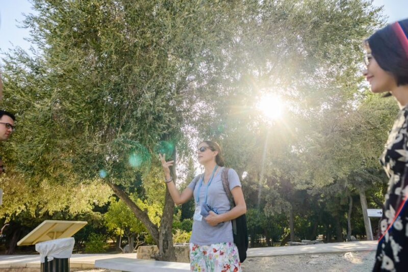 Acropolis: Acropolis and Parthenon Guided Walking Tour - An In-Depth Look at the Tour Experience