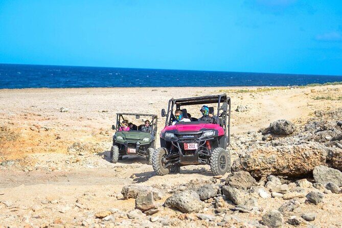 Action-Packed Half Day Aruba UTV Tour and Cave Pool - Who Should Consider This Tour?
