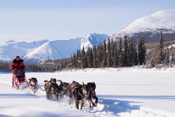 Active Winter Adventure in Yukon | 5 days - Who Is This Tour Best For?