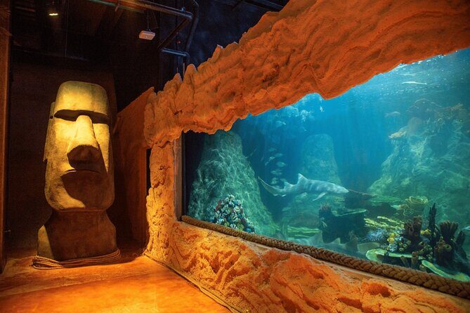 Acuario Sealand Guadalajara Admission Ticket - Accessibility and Practical Considerations