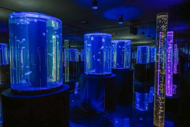 Acuario Sealand Guadalajara Admission Ticket - Authentic Visitor Insights and Reviews