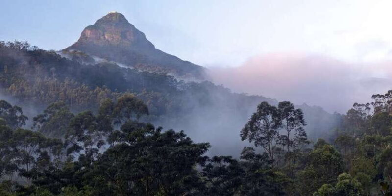 Adam's Peak: Overnight Trek via Peak Wilderness Sanctuary - FAQs