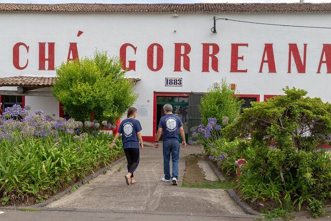 Adapted Van tour - Furnas (Full day) - Key Points