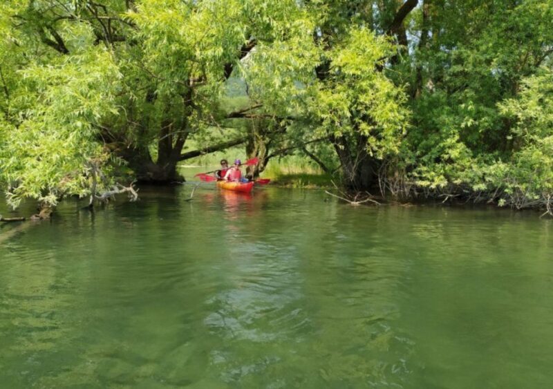 Adda River: Half day Kayak Trip - Key Points