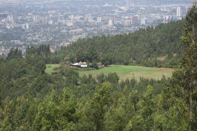 Addis Ababa +Mount Entoto View Point,Museums Palace Market Tours - Monuments and Memorials: Tiglachin and Yekatit 12