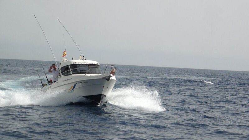 Adeje: 3.5Hour Professional Fishing Experience - The Itinerary in Detail