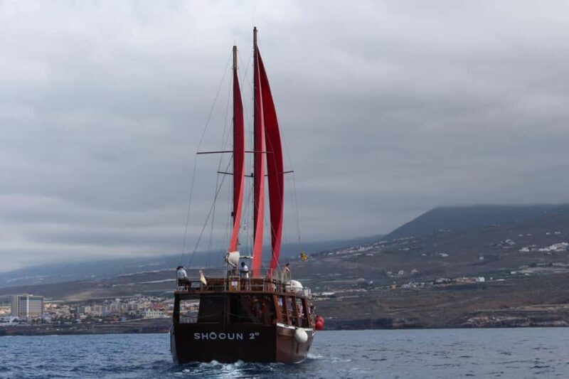 Adeje Classic Schooner: Whales, lunch & Los Gigantes Cliffs - Who Should Consider This Tour?