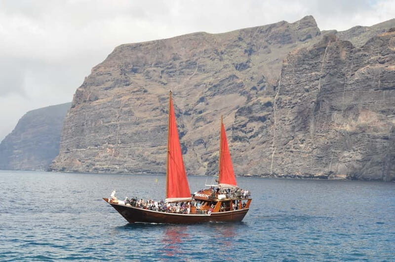 Adeje: Whale Watching Tour to Los Gigantes with lunch & swim - Key Points