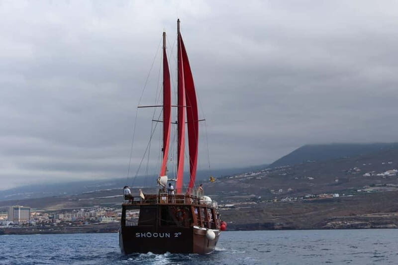 Adeje: Whale Watching Tour to Los Gigantes with lunch & swim - Cliffs of Los Gigantes