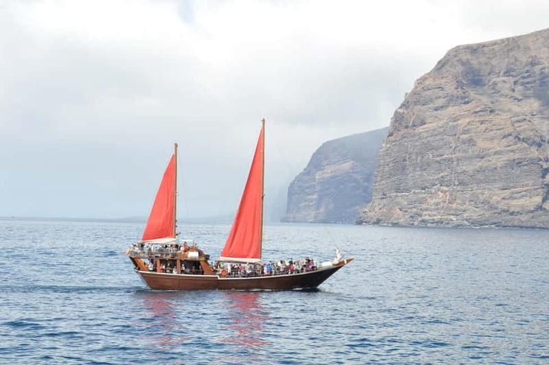 Adeje: Whale Watching Tour to Los Gigantes with lunch & swim - Return Journey and Reflection