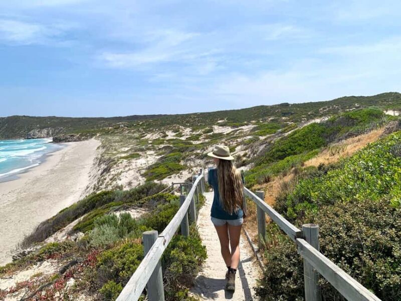 Adelaide: 3-Day Kangaroo Island Adventure Tour with Camping - Day 1: From Adelaide to Kangaroo Island
