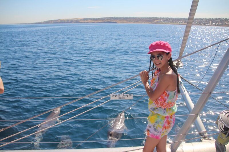Adelaide: 4-Hour Guaranteed Wild Dolphin Watching Cruise - Key Points