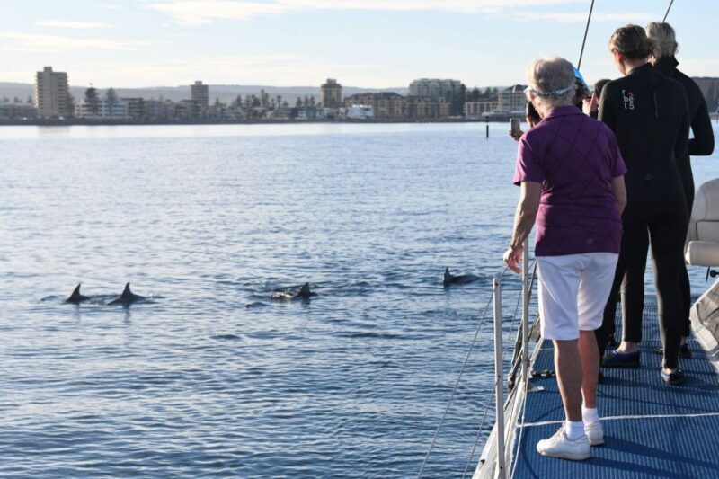 Adelaide: 4-Hour Guaranteed Wild Dolphin Watching Cruise - FAQ