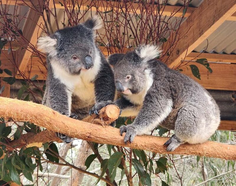 Adelaide: All-Inclusive Boutique 2-Day Kangaroo Island Tour - FAQ