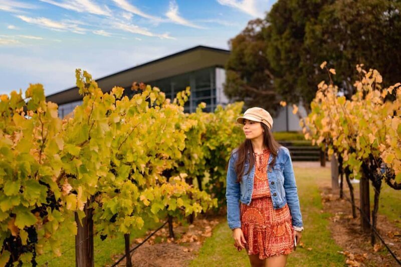 Adelaide: Barossa and Adelaide Hills Tour with Lunch - Authentic Experiences and Authenticity