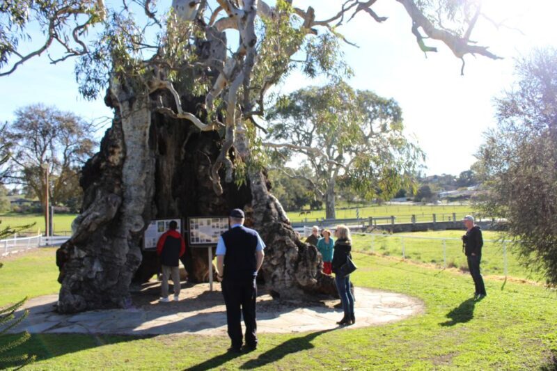 Adelaide: Barossa and Adelaide Hills Tour with Lunch - Who Will Love This Tour?