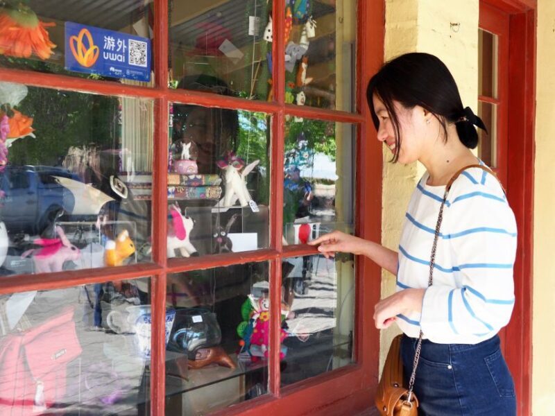 Adelaide: City, Adelaide Hills Villages, and Hahndorf Tour - Who Is This Tour Best For?