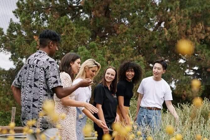 Adelaide City and First Nations Cultural Tour - The Value and Practicality of This Tour