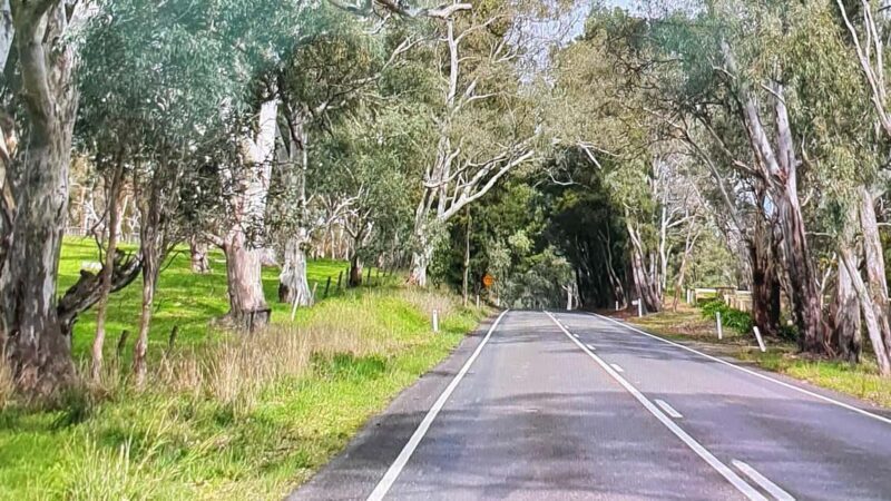 Adelaide City Highlights Full-Day Tour - Key Points