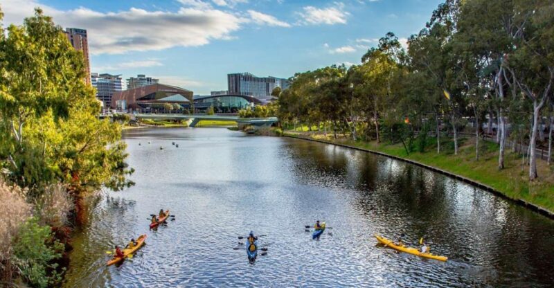 Adelaide: City Kayaking Experience - Practicalities and Tips for Your Kayaking Day