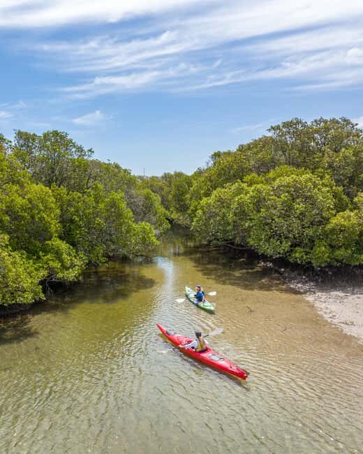Adelaide: City to Sea, Bike and Kayak Safari - Authenticity and Cultural Touchpoints
