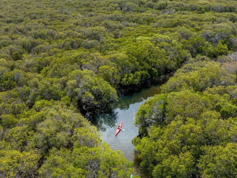 Adelaide: City to Sea, Bike and Kayak Safari - Final Thoughts: Who Will Love This Tour?