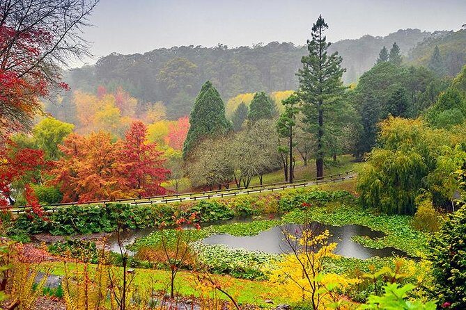 Adelaide Cruise Ship Tours to Hahndorf & Hills Wildlife Wonders - The Sum Up