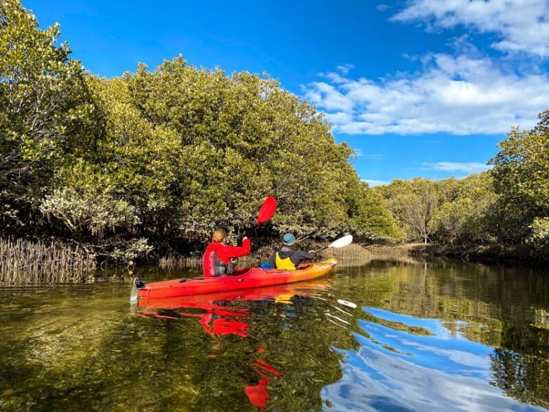 Adelaide: Dolphin Sanctuary 1 or 2-Person Kayak Rental - A Detailed Look at the Adelaide Dolphin Sanctuary Kayaking Experience