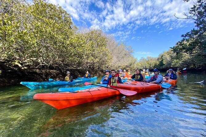 Adelaide Dolphin Sanctuary and Ships Graveyard Kayak Tour - Introduction to the Experience