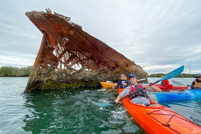 Adelaide Dolphin Sanctuary and Ships Graveyard Kayak Tour - Authentic Experiences & Guest Feedback